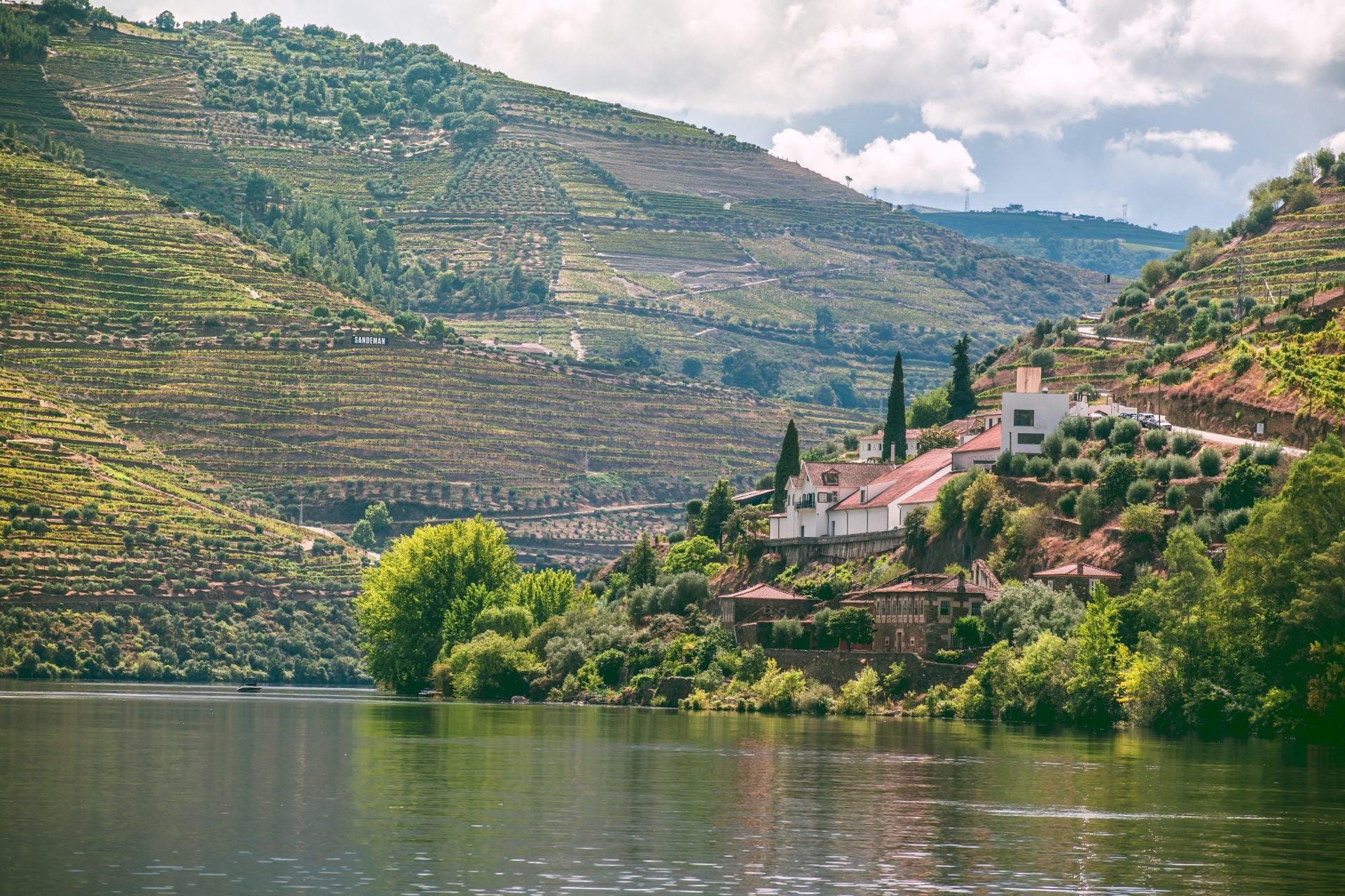 Douro Wine - Portugal.com