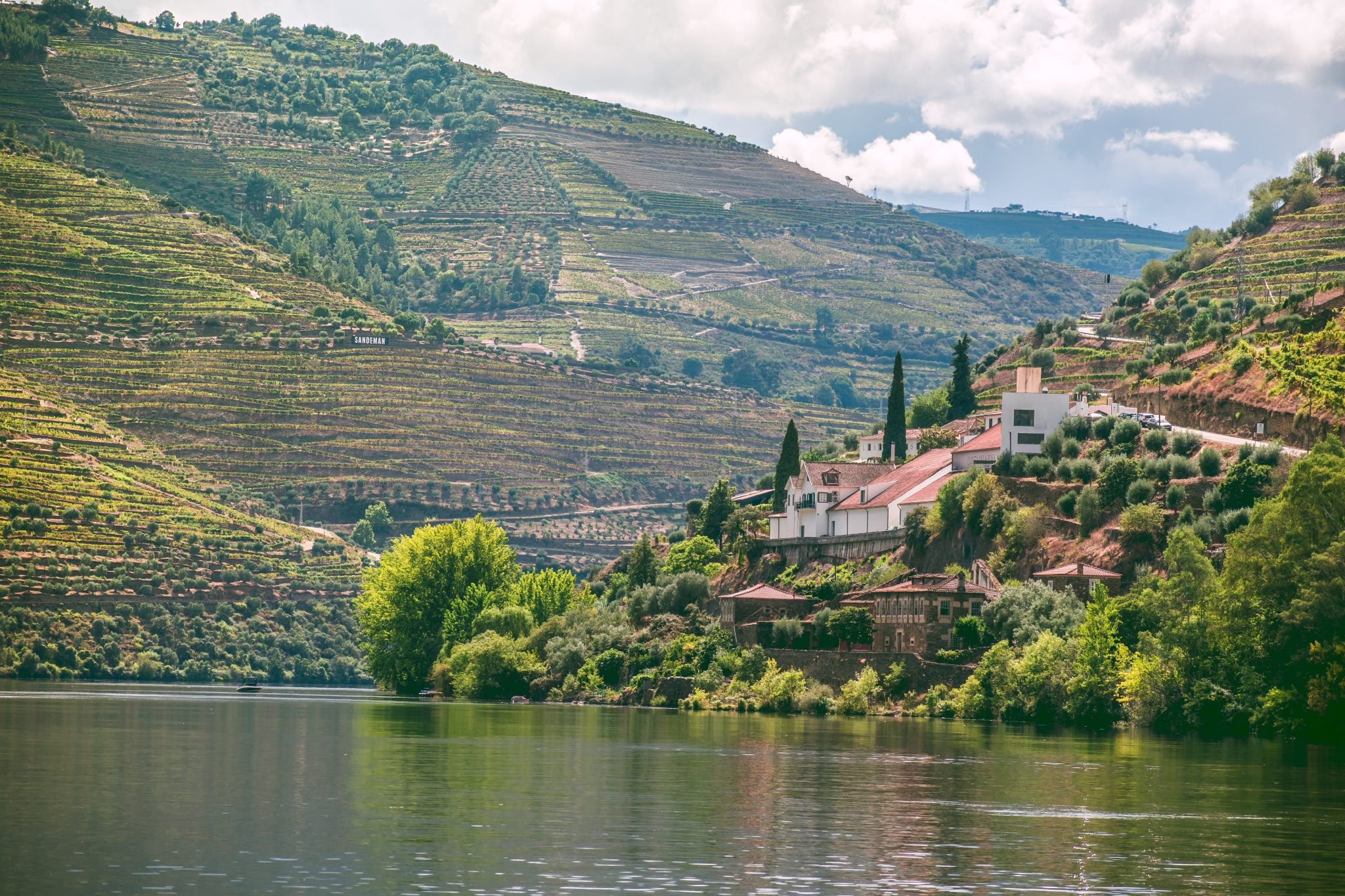 Douro Wine - Portugal.com