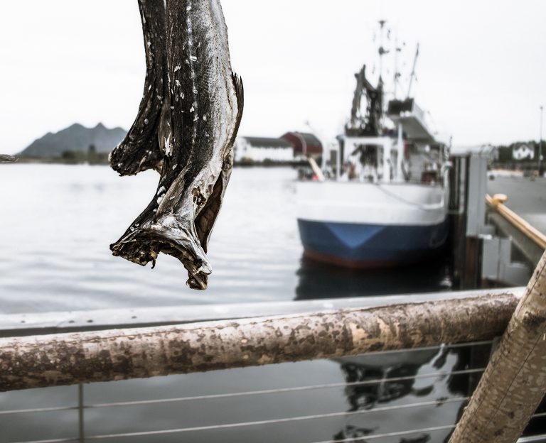 Bacalhau: Understanding the Portuguese Obsession with Cod - Portugal.com