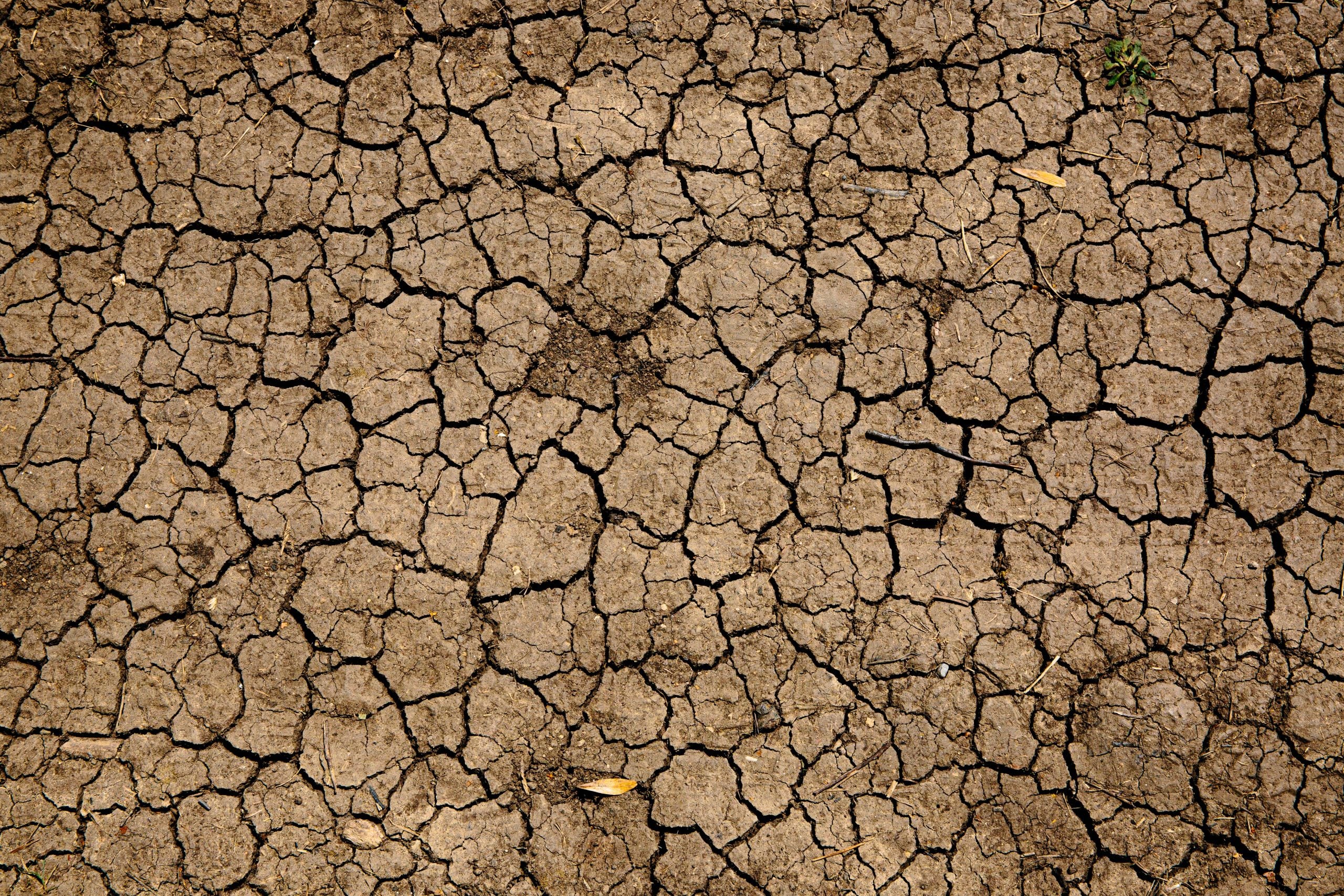 Portugal Facing Extreme Drought - Portugal.com