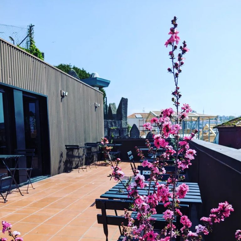 9 Best Bars in Porto - Portugal.com