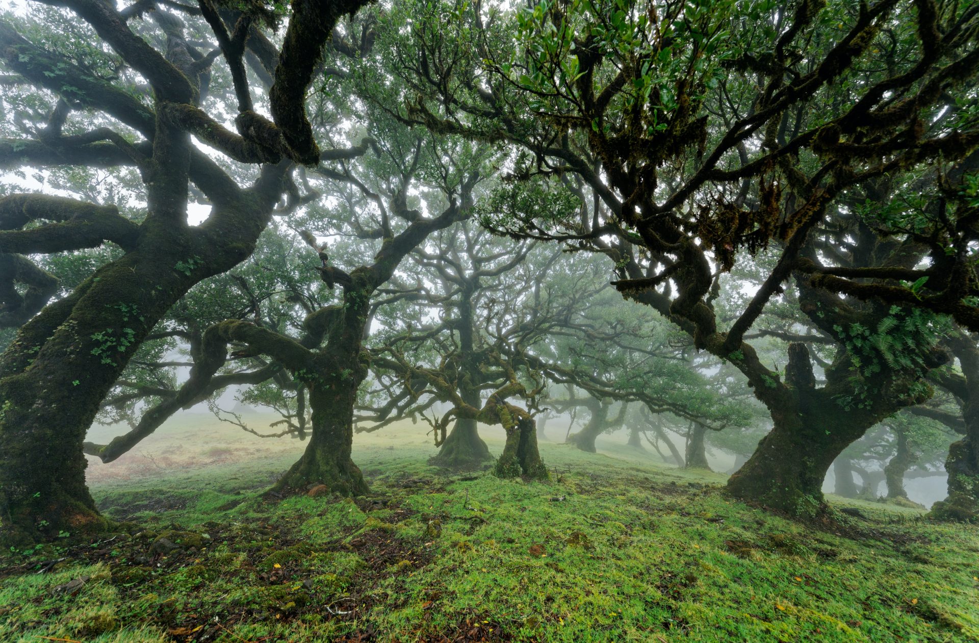 Hiking in Madeira Now Requires a Reservation in Advance - Portugal.com