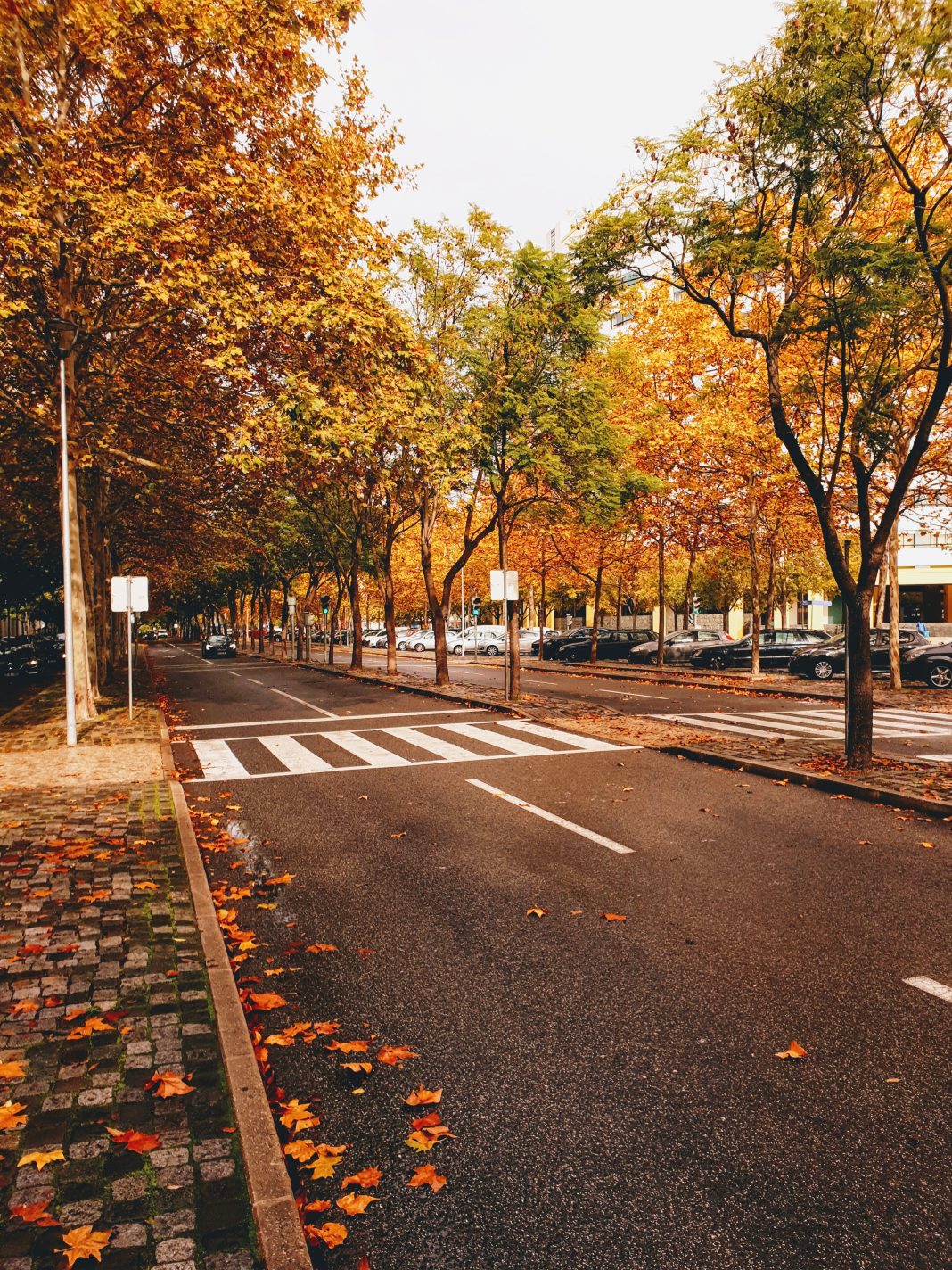 Fall Guide to Lisbon: Fall Activities in Lisbon 2022 - Portugal.com