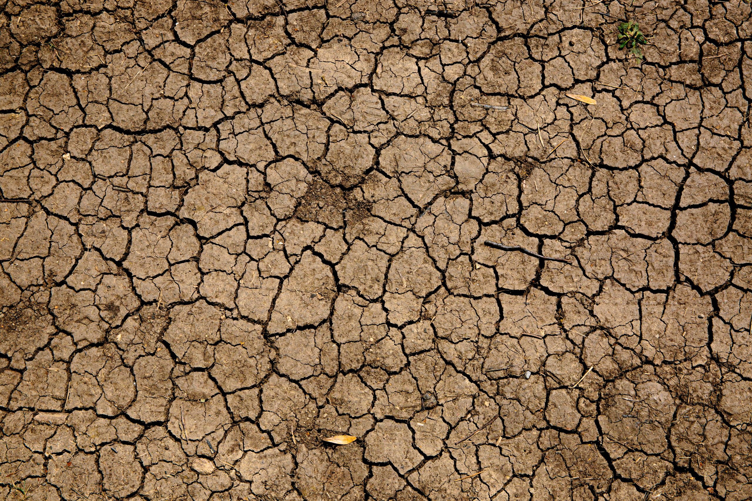 Drought in 40% of Portuguese territory - Portugal.com