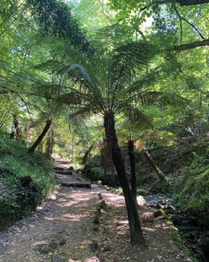 Luso - Portugal’s Most Charming Spa Town - Portugal.com