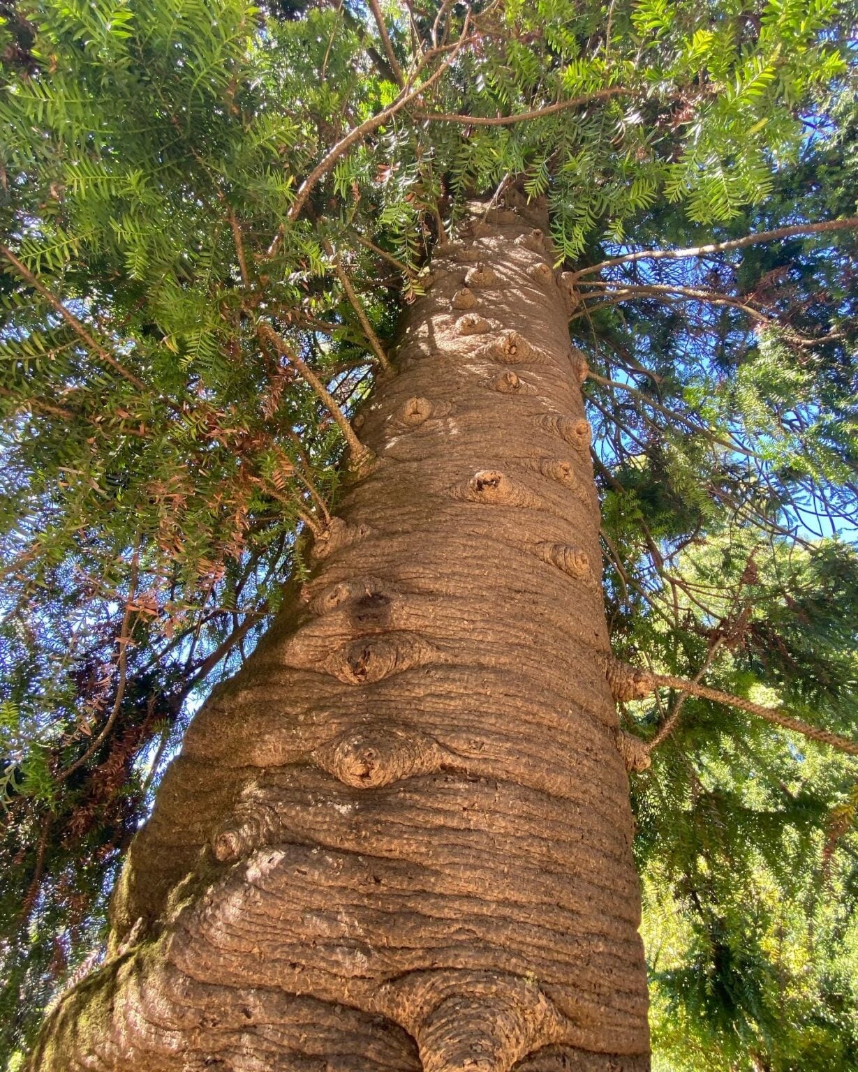 Luso - Portugal’s Most Charming Spa Town - Portugal.com