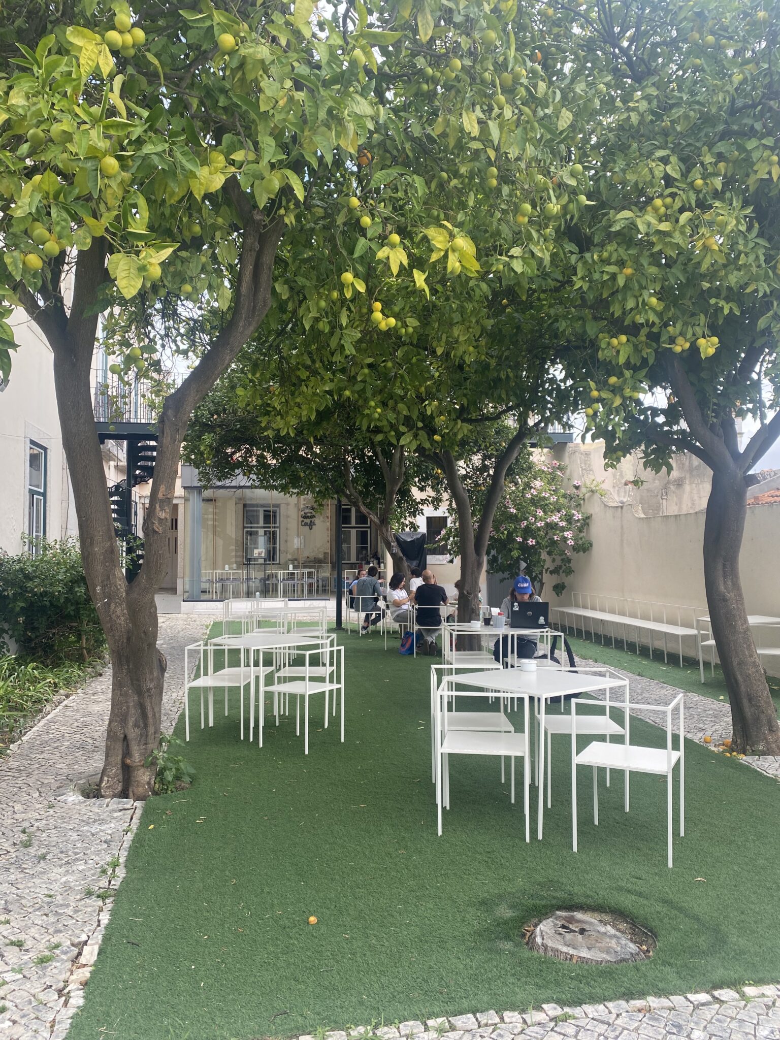 The 7 Best Libraries in Lisbon to Study and Get Your Work Done - Portugal.com