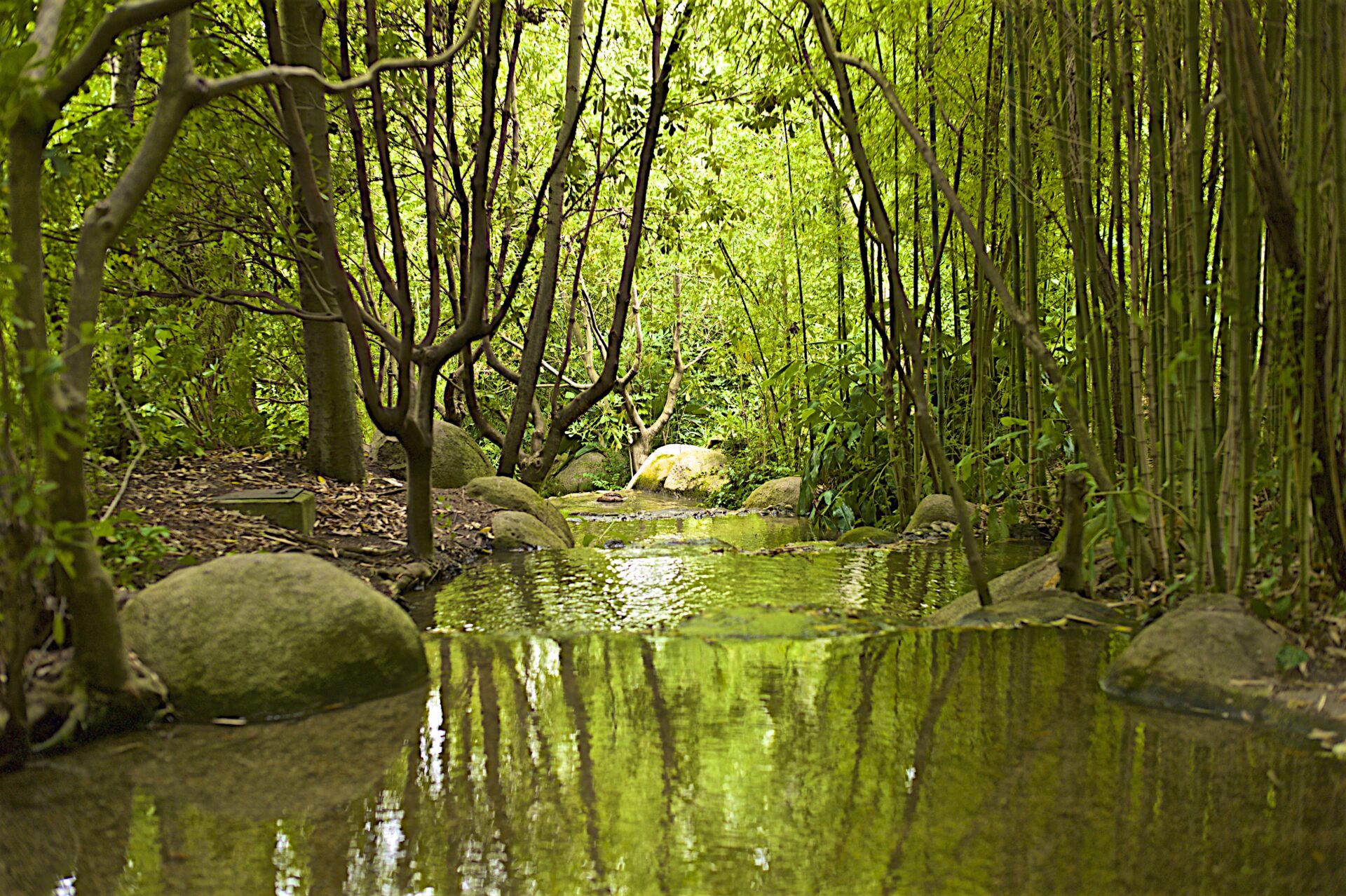 Central Portugal’s Folk Tales - Portugal.com
