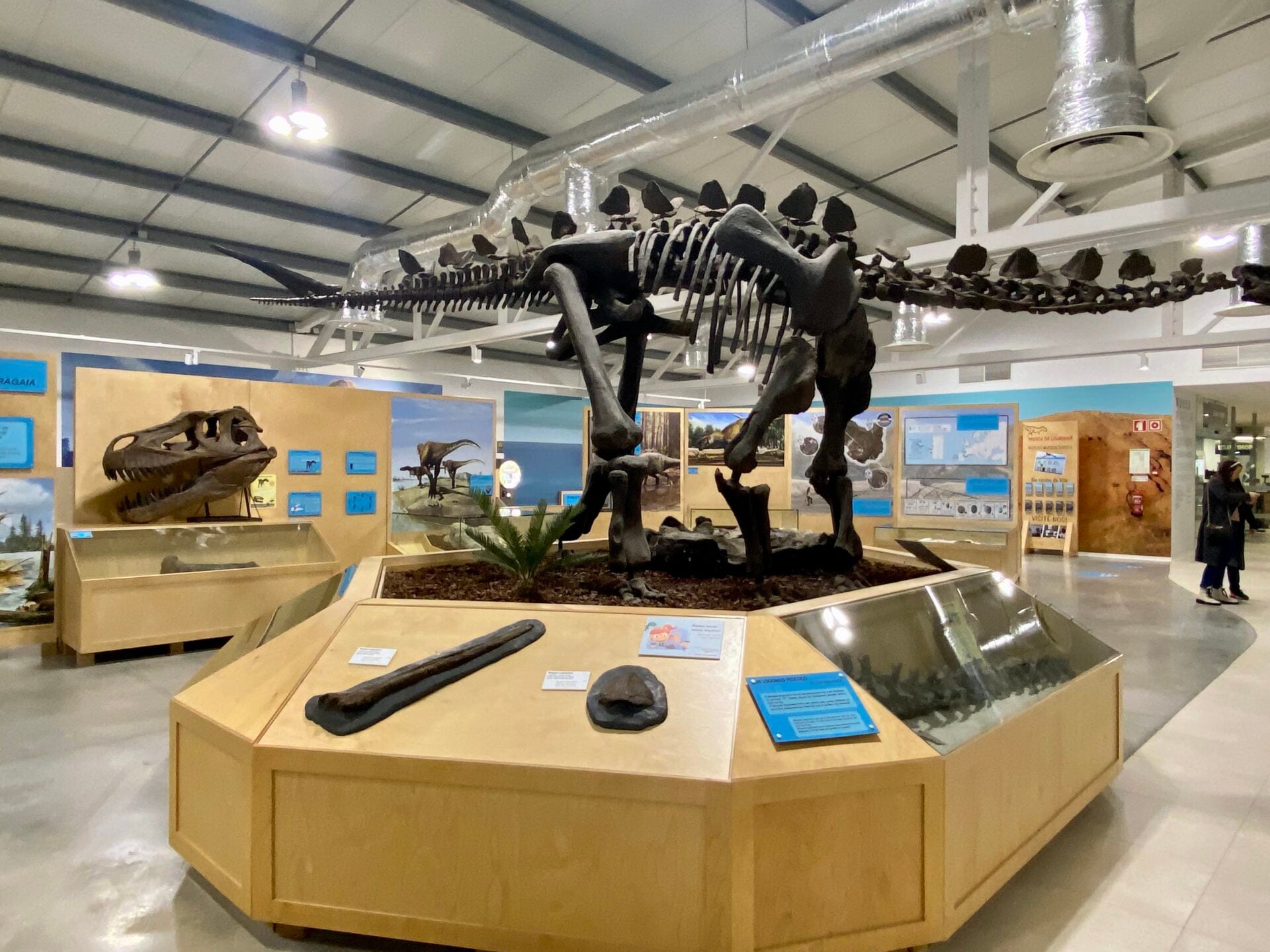 Lourinhã, Portugal’s Dinosaur Town - Portugal.com