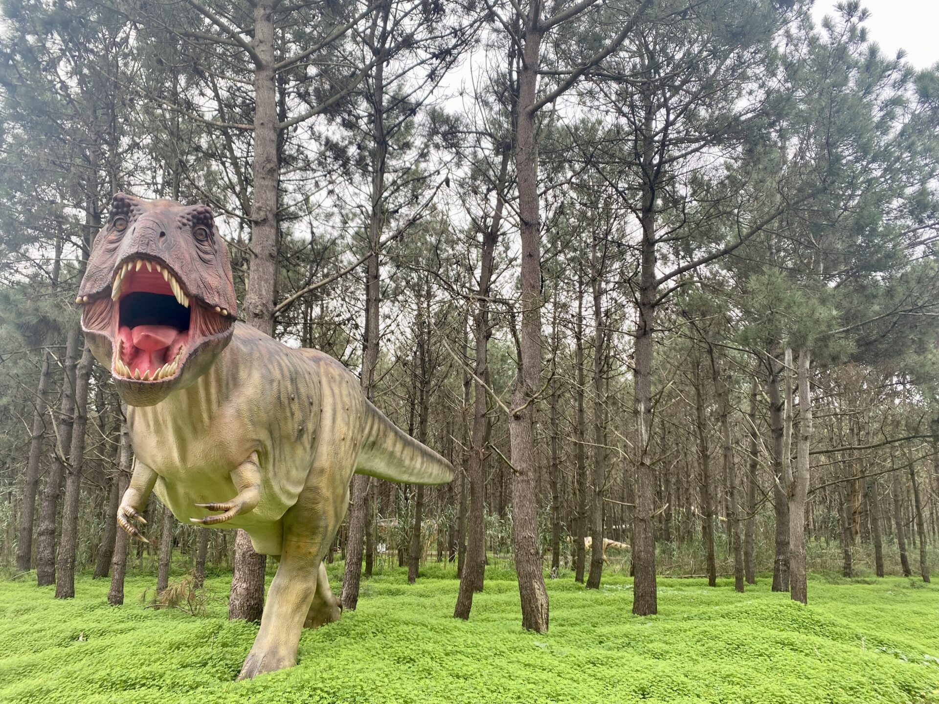 Lourinhã, Portugal’s Dinosaur Town - Portugal.com