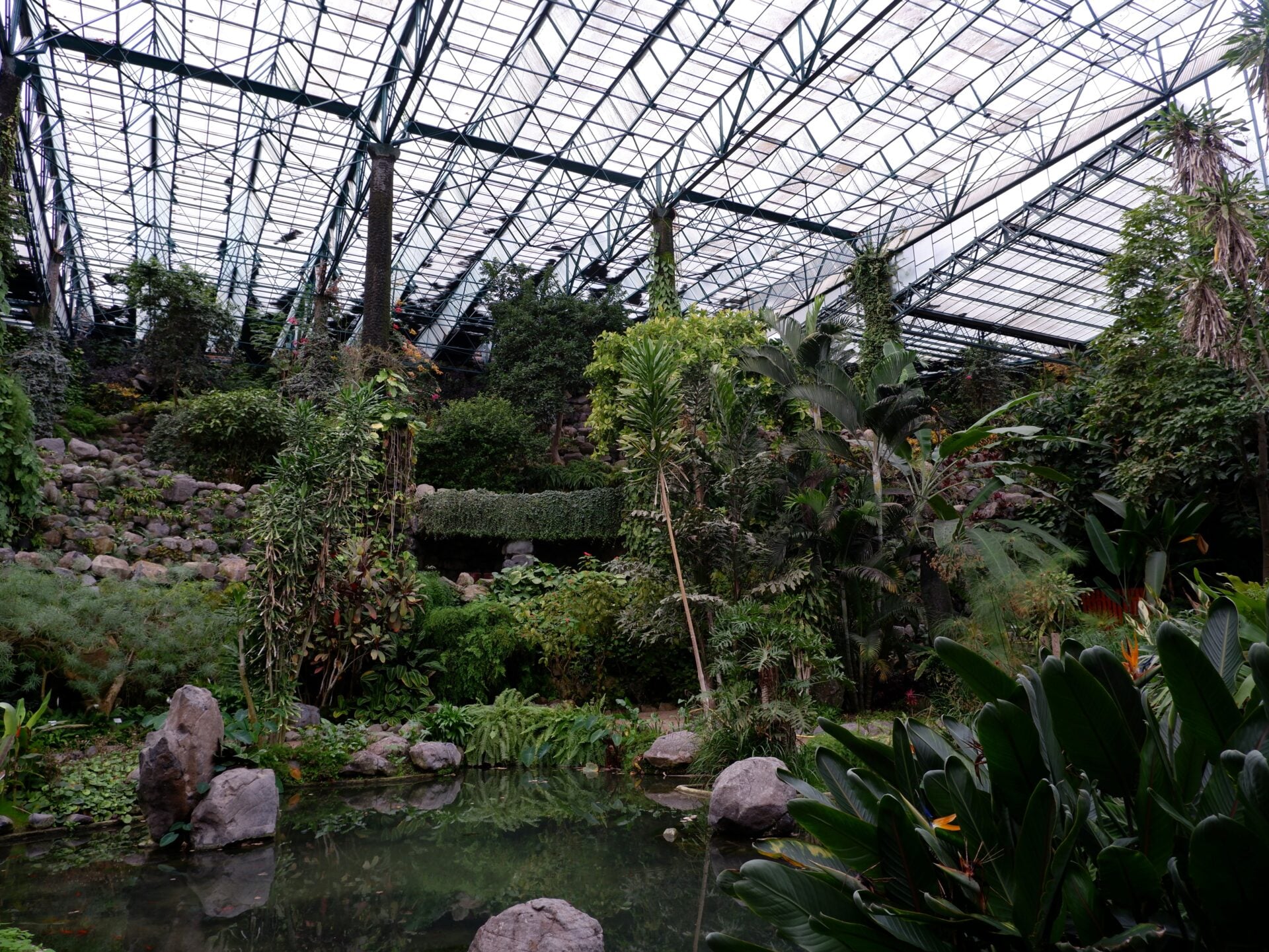 Estufa Fria - Discover the Cold Greenhouse of Lisbon - Portugal.com