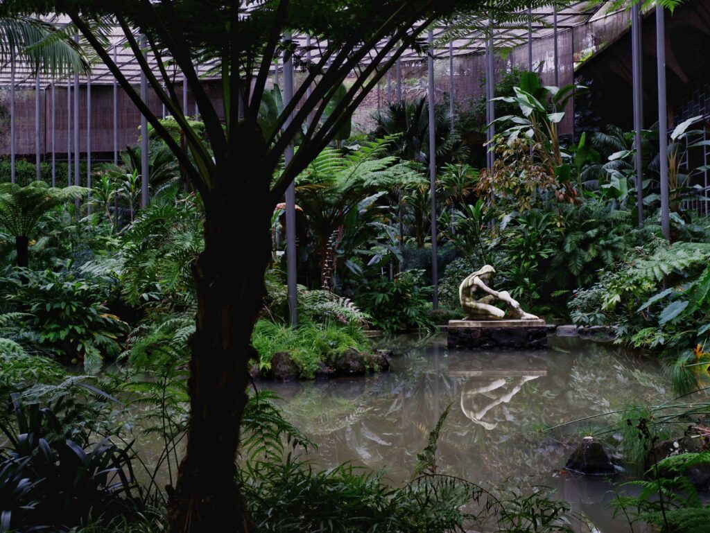 Estufa Fria - Discover the Cold Greenhouse of Lisbon - Portugal.com