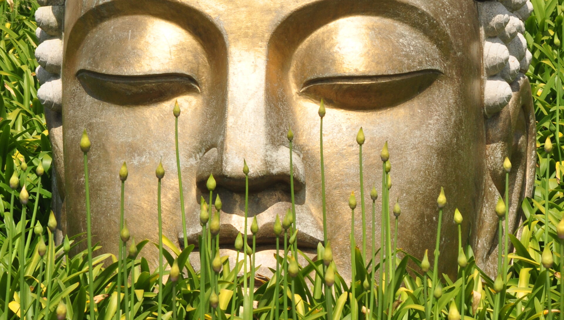 Bacalhôa Buddha-Eden Garden - Portugal.com