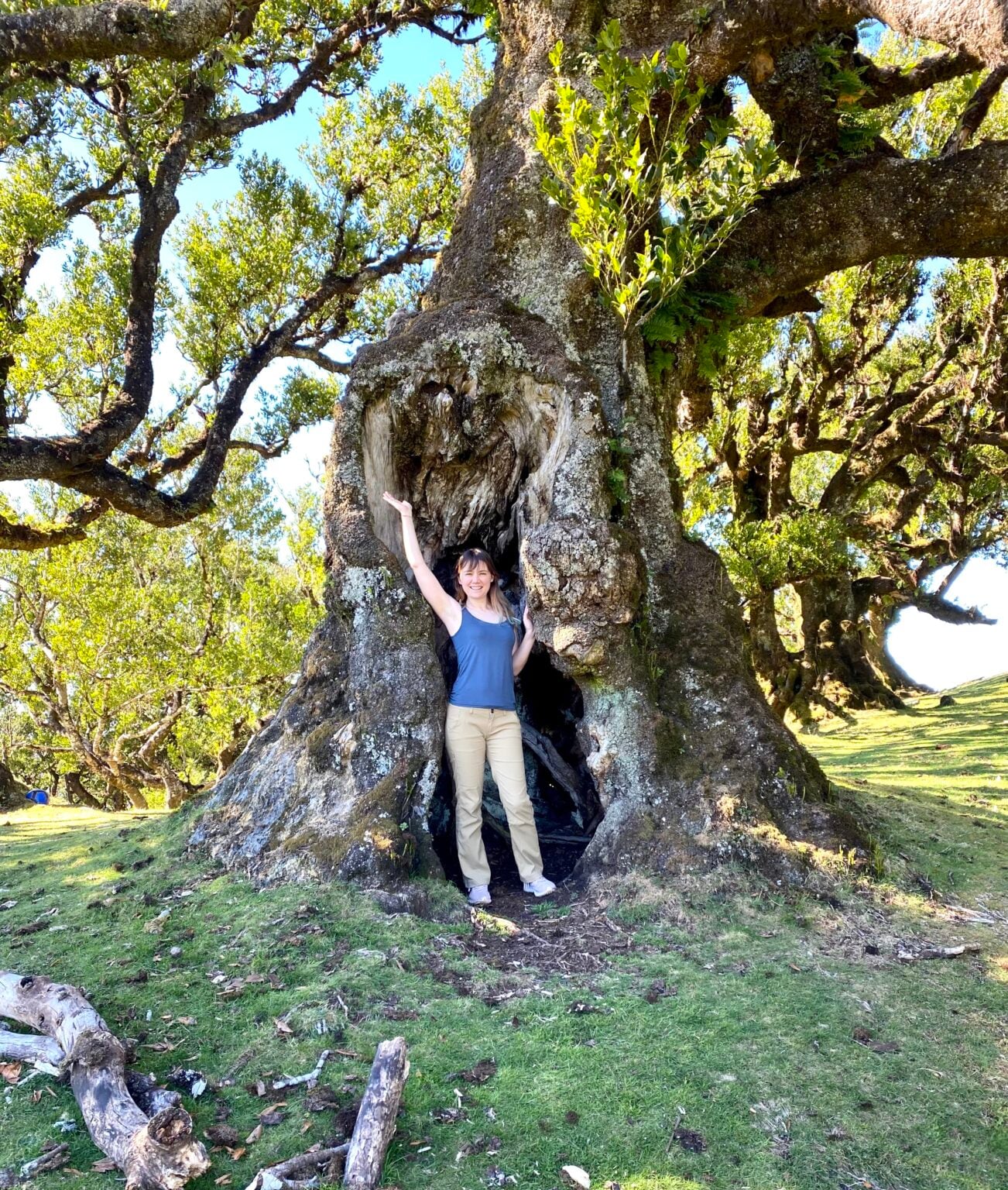 Hiking in Madeira Now Requires a Reservation in Advance - Portugal.com