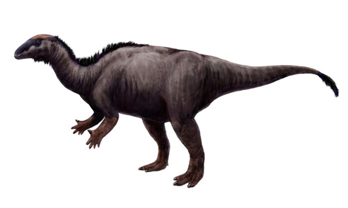 Prehistoric Animals that Lived in Portugal - Dinosaurs, Pterosaurs, and ...