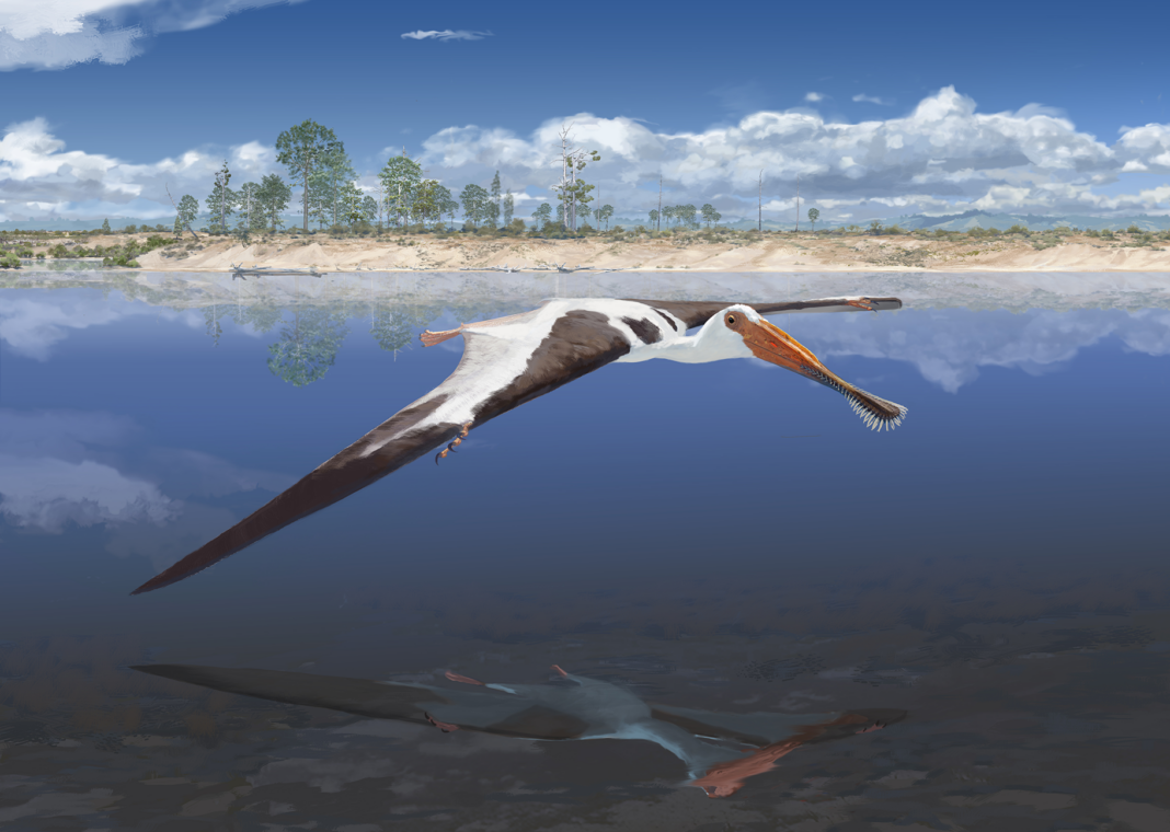 Prehistoric Animals that Lived in Portugal - Dinosaurs, Pterosaurs, and ...