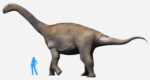 Prehistoric Animals that Lived in Portugal - Dinosaurs, Pterosaurs, and ...