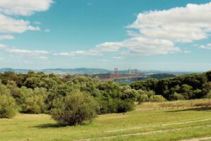 Monsanto: The Fascinating History of Lisbon’s Largest and Strangest ...
