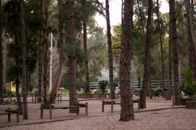 Monsanto: The Fascinating History of Lisbon’s Largest and Strangest ...