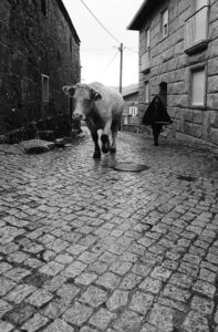 Portuguese Textiles - Portugal.com