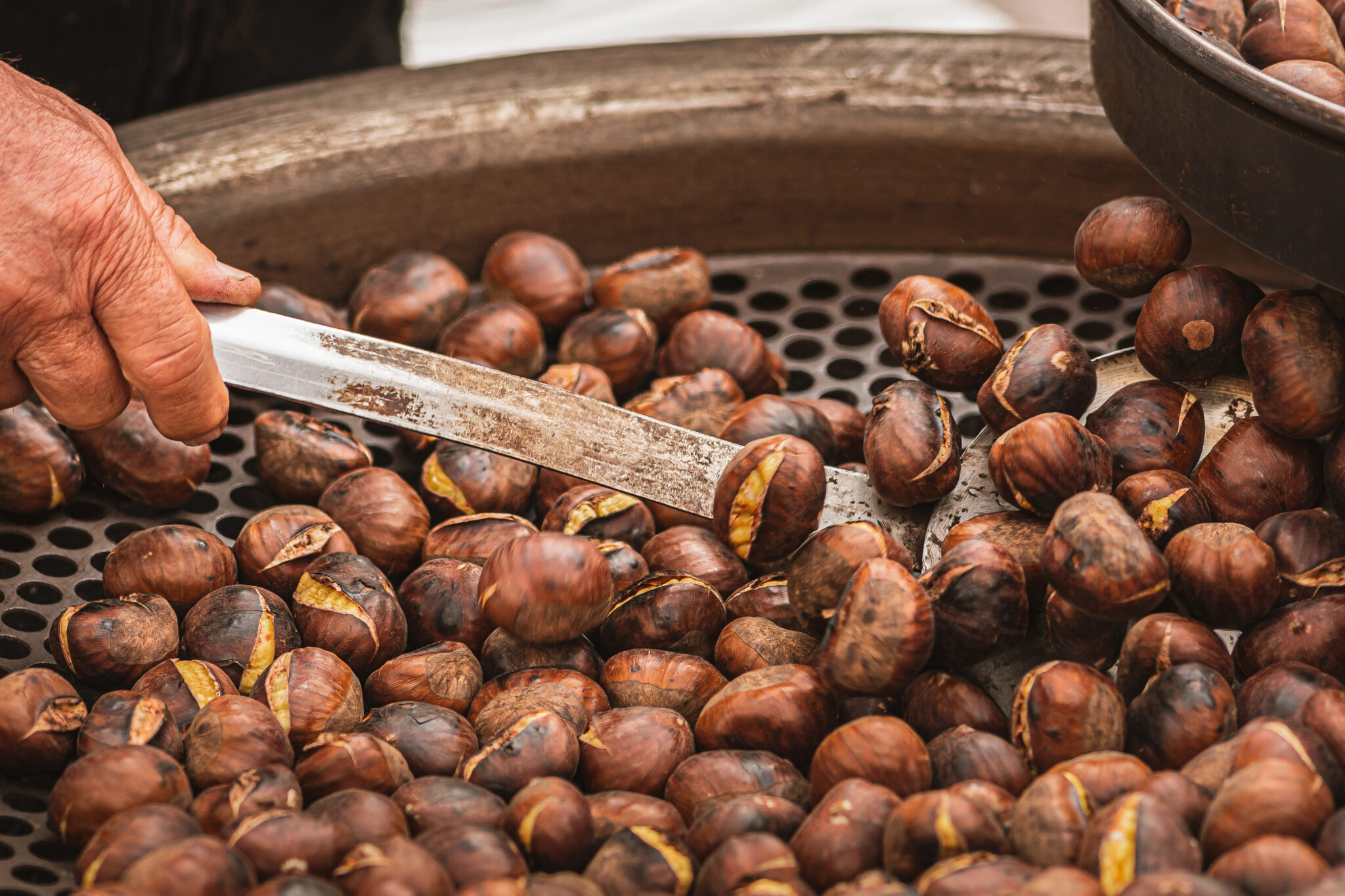 Celebrating the Harvest with Chestnuts and Wine on St. Martin’s Day ...