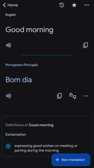 Portuguese from Portugal Has Been Added to Google Translate! - Portugal.com