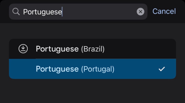 Portuguese from Portugal Has Been Added to Google Translate! - Portugal.com