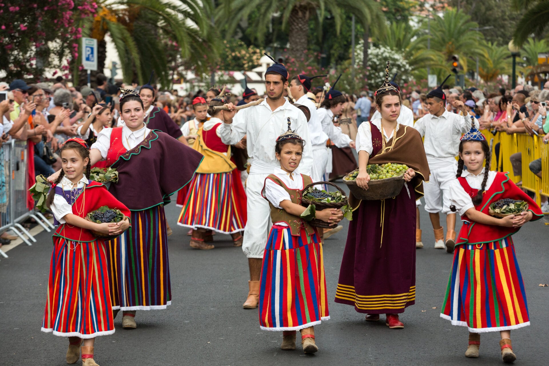 The Best Wine Festivals in Portugal for the Rest of 2025 - Portugal.com
