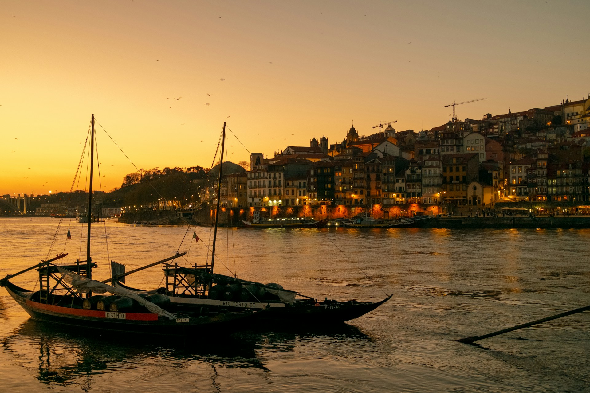 11 Best Events in Porto, September 2025 - Portugal.com